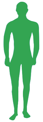 5 Foot 11 and 165 Pounds - What's my BMI? Male and Female