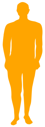 5 Foot 11 and 180 Pounds - What's my BMI? Male and Female